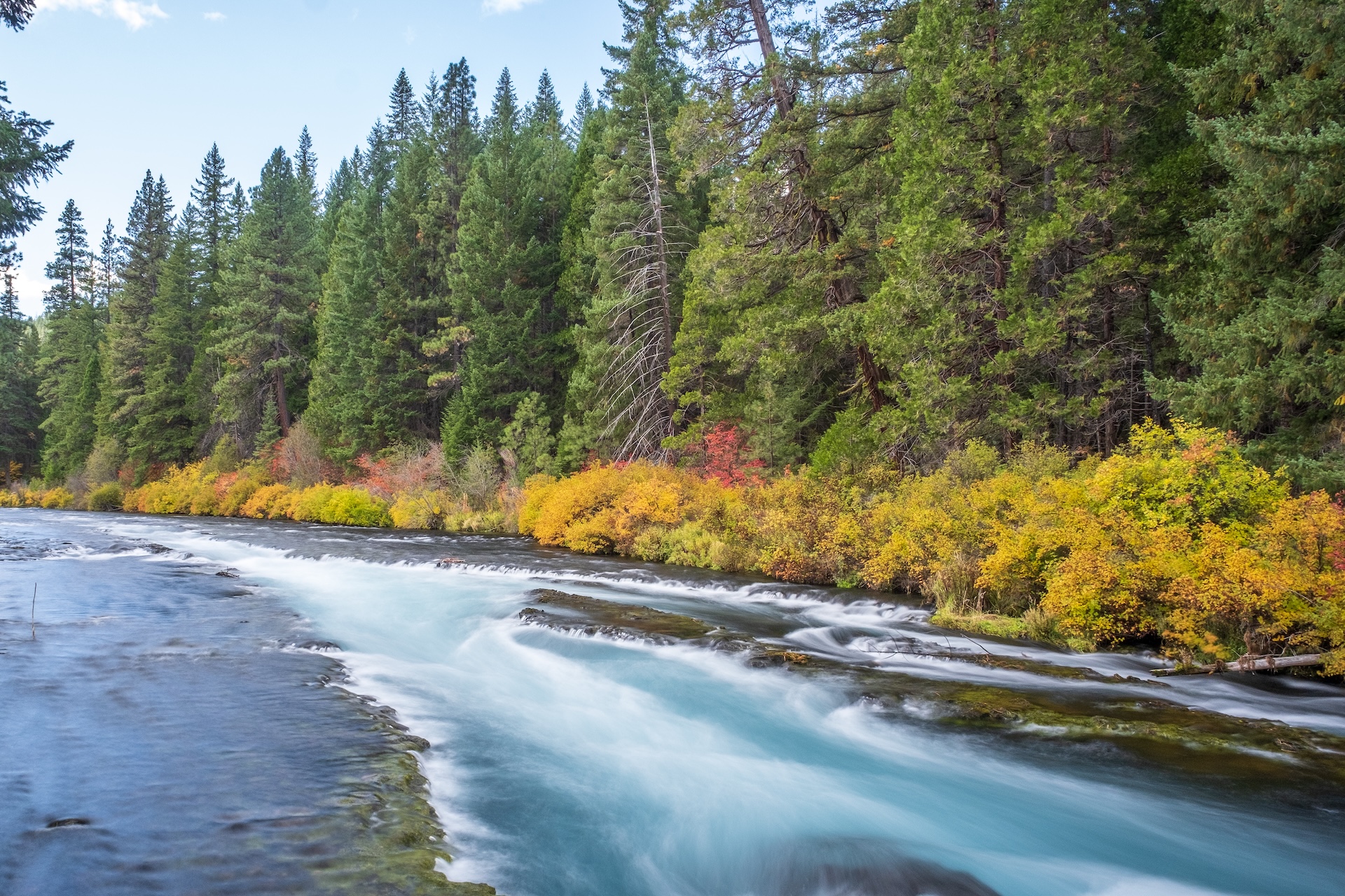 Top National Parks for a Last-Minute Escape into Nature